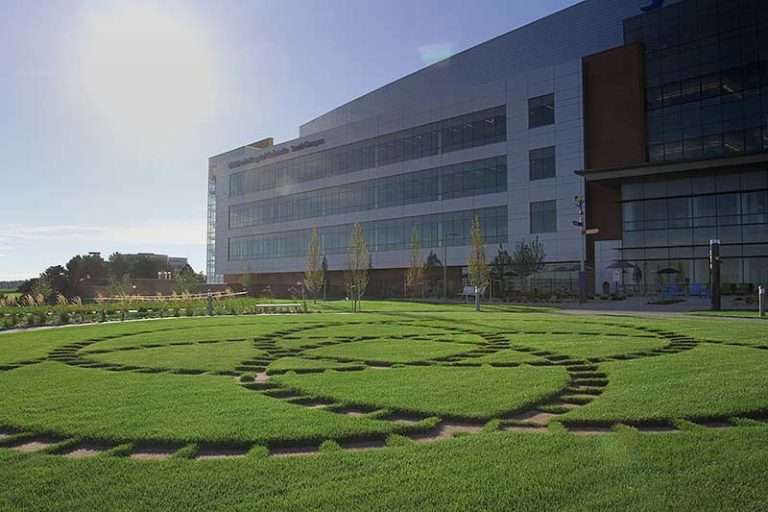 SPF30 Texas Bluegrass Sod - Green Valley Turf, Residential