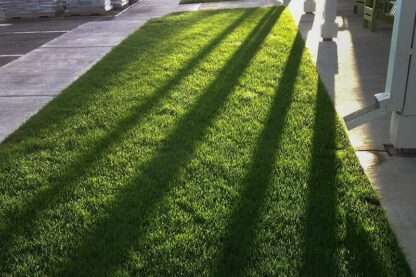 Colorado Blue™ Sod Bluegrass - Green Valley Turf, Residential