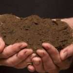 ECOGRO® Compost - Green Valley Turf, Residential