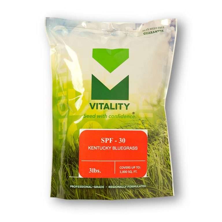 SPF 30 Texas Hybrid lawn seed - Green Valley Turf, Residential