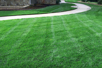 Colorado Blue™ Sod Bluegrass - Green Valley Turf, Residential
