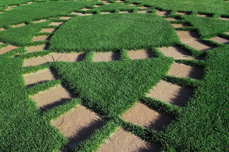 Colorado Blue™ Sod Bluegrass - Green Valley Turf, Residential