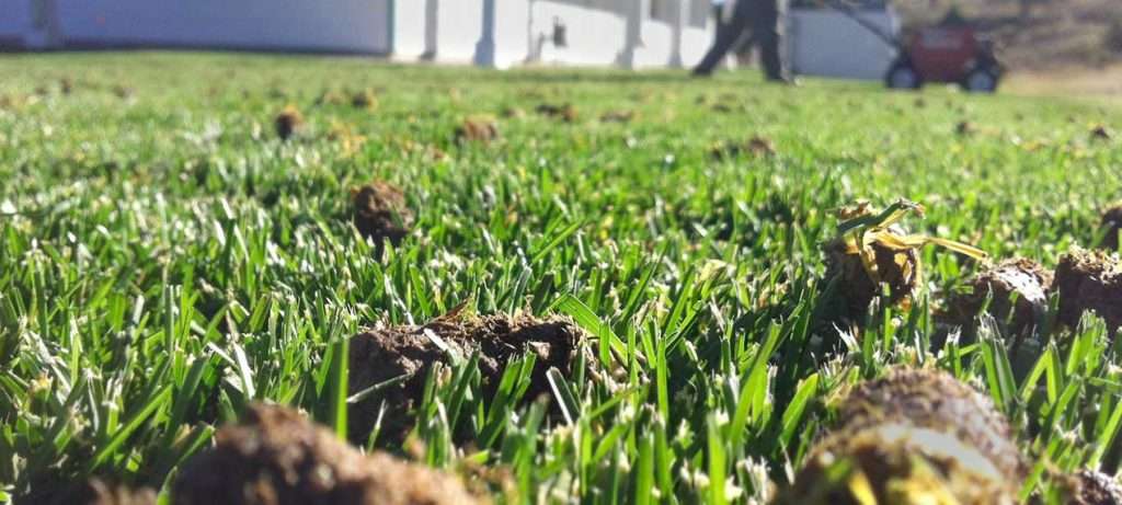 Four Steps to Success With Your Spring Lawn - Green Valley Turf ...