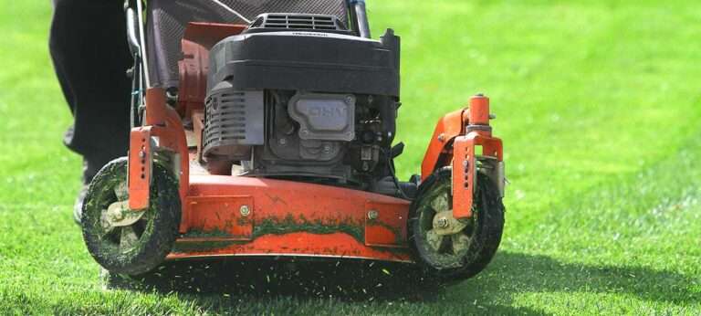Mowing Your Lawn In Spring - Green Valley Turf, Residential