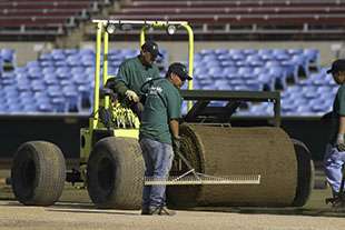 Big Roll Sports Field Installation - Green Valley Turf, Residential