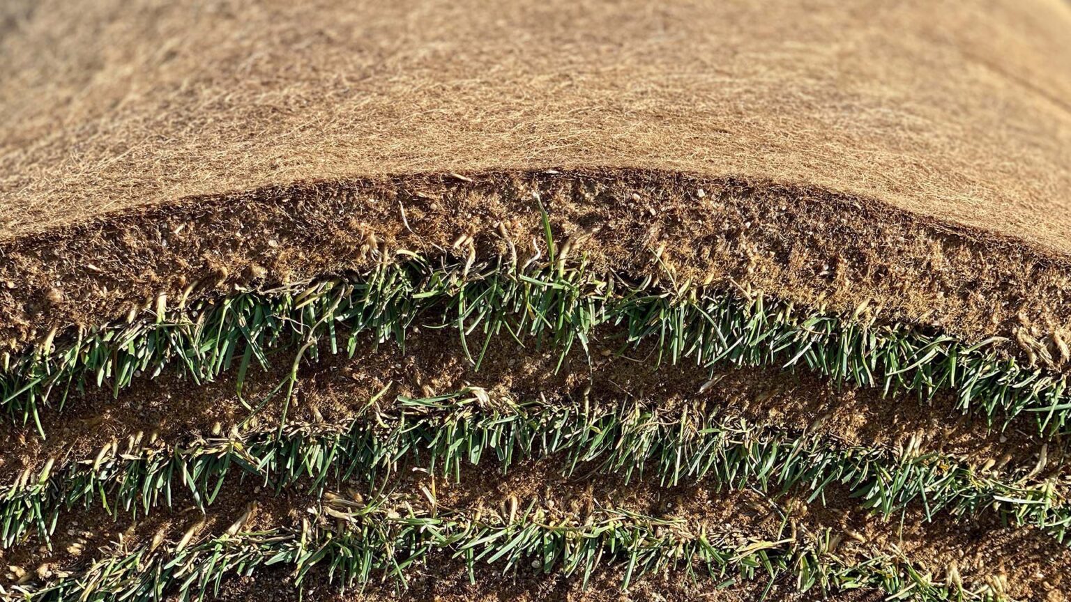 Sports - Green Valley Turf, Residential